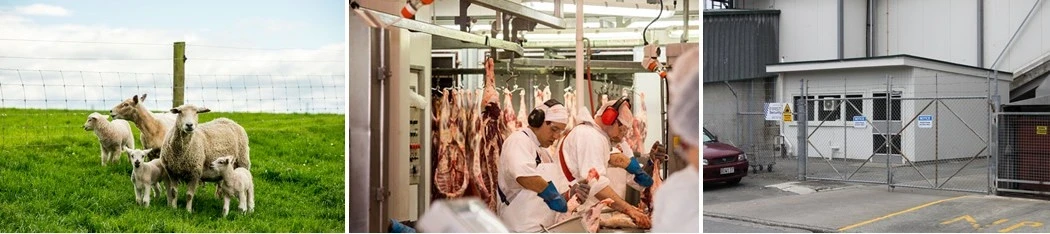 Showcase | Prime Range Meats | Apparelmaster